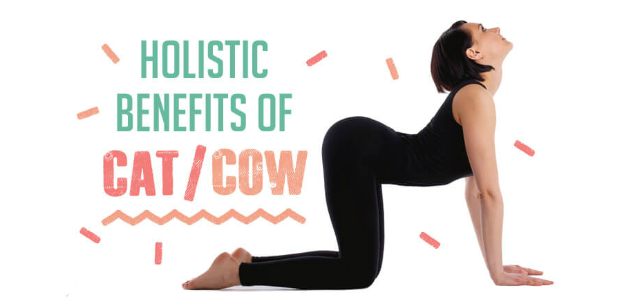 Benefits of Cat/Cow Pose - Delray Beach Yoga